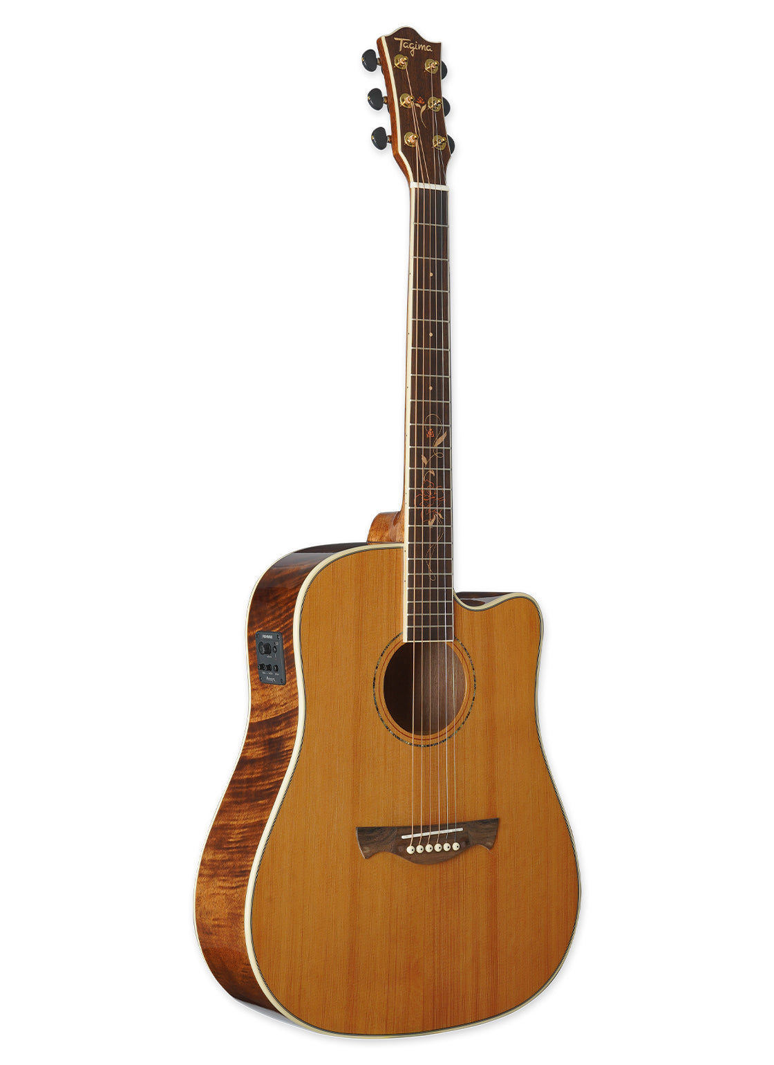 Tagima Guitars USA