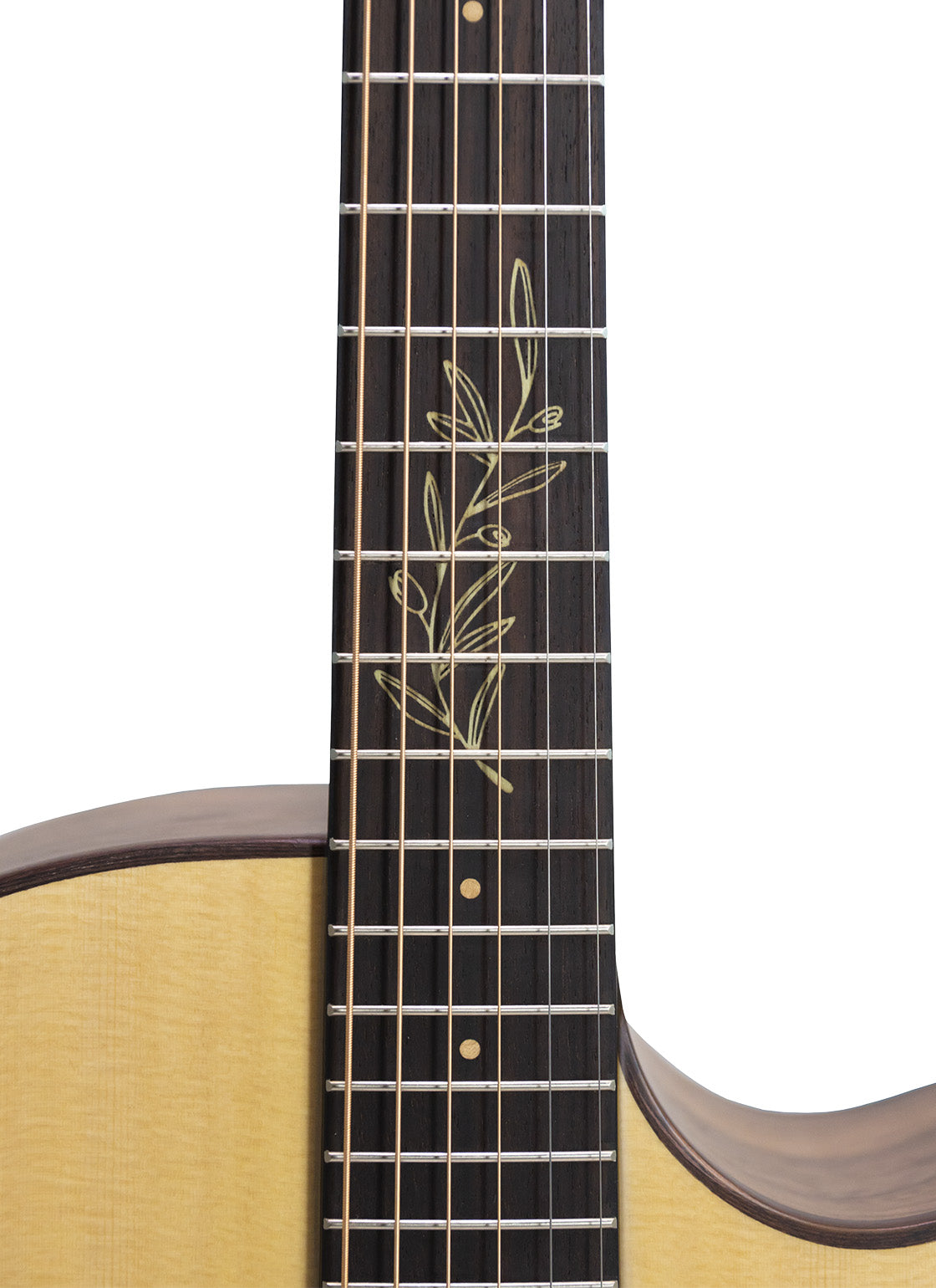 Acoustic Guitars Signature Series