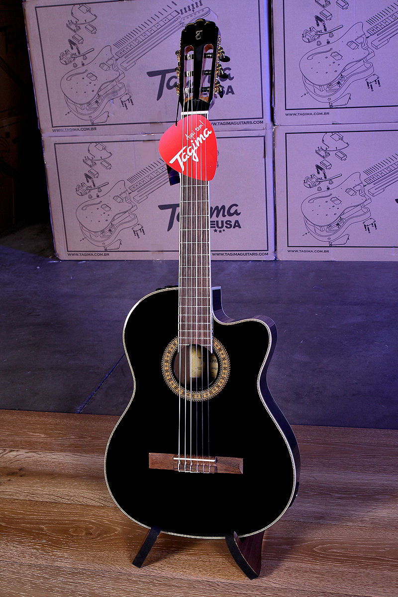 Acoustic Guitars WS Series